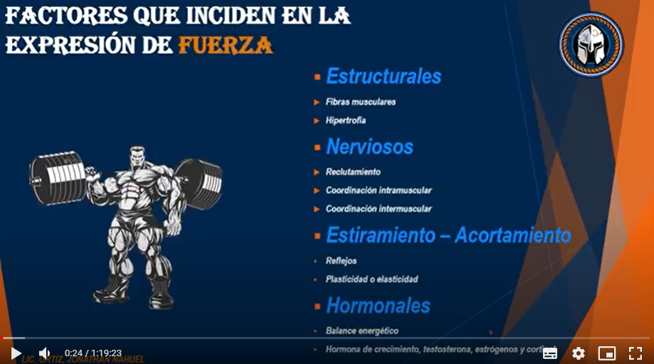 Especialista en el entrenamiento de fuerza – Corporal Kinesis